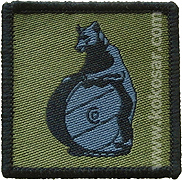 BRITISH ARMED FORCES