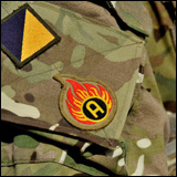 TACTICAL RECOGNITION FLASHES