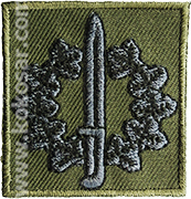 OTHER NORWEGIAN BADGES